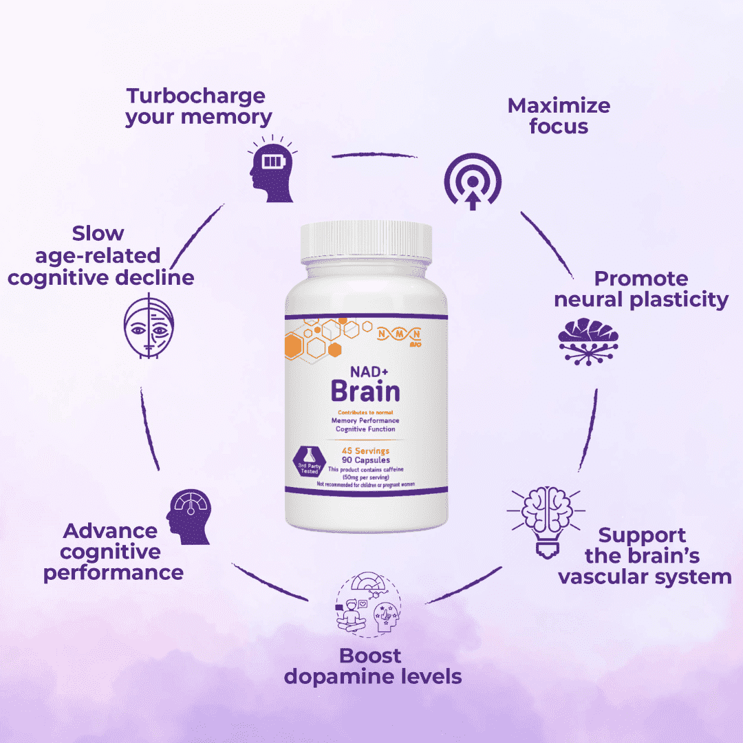 NAD+ Brain | Healthy Brain Aging | Nootropic – NMNBIO