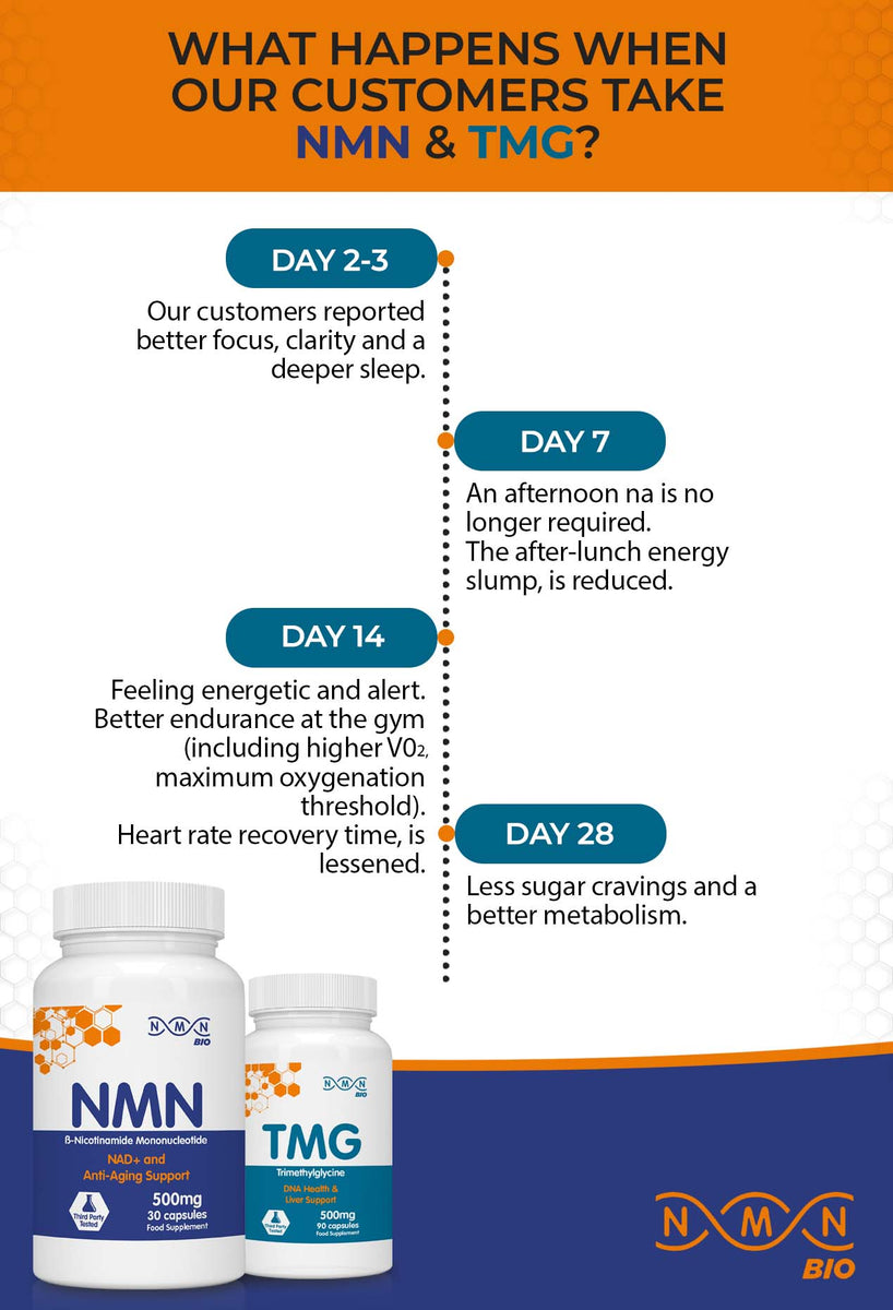 NMN supplement capsules 500mg – NMNBIO